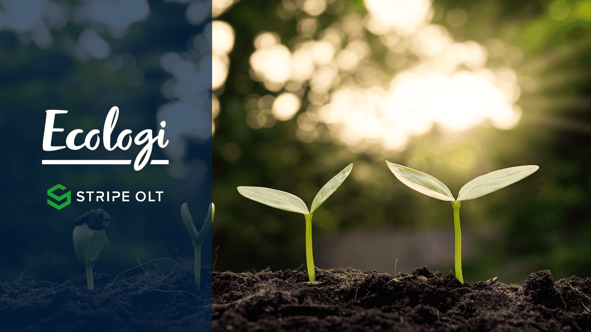 Climate Commitment with Ecologi • Stripe OLT